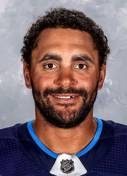 Dustin Byfuglien | NHL Hockey Wikia | Fandom