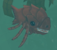 Fish | Niche Wiki | Fandom