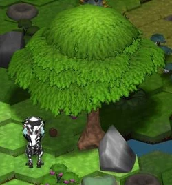 Plants | Niche Wiki | Fandom