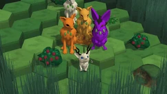 Niche | Niche Wiki | Fandom