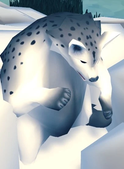 Balance Bear | Niche Wiki | Fandom