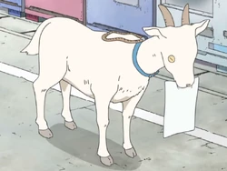 Kojirou | Nichijou Wiki | Fandom