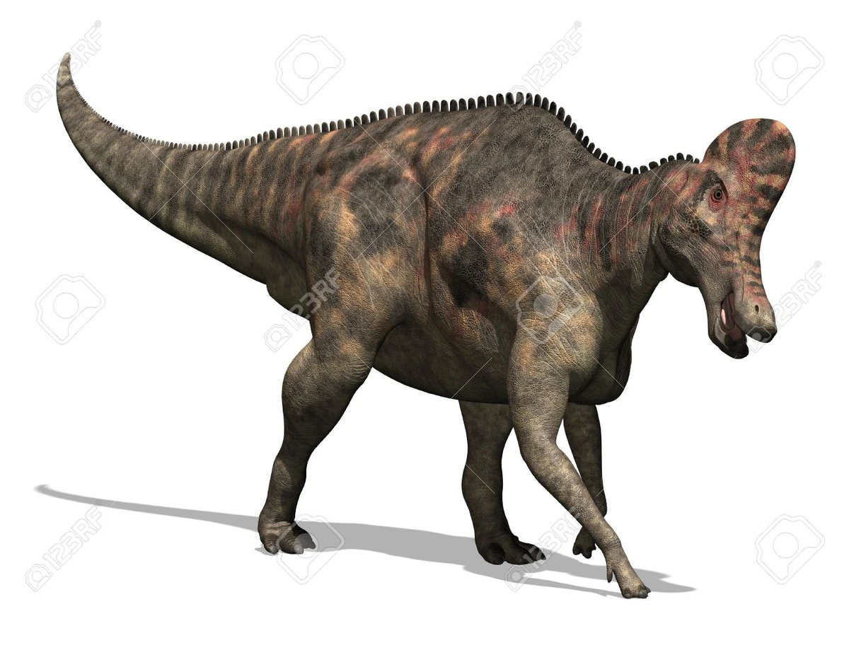 Corythosaurus | Nickelodeon Animals Wiki | Fandom