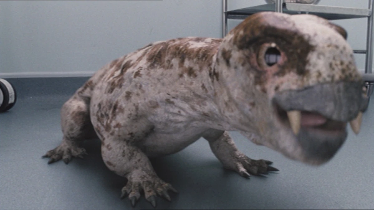 Diictodon | Wiki Nick Cutter et les Portes du Temps | Fandom