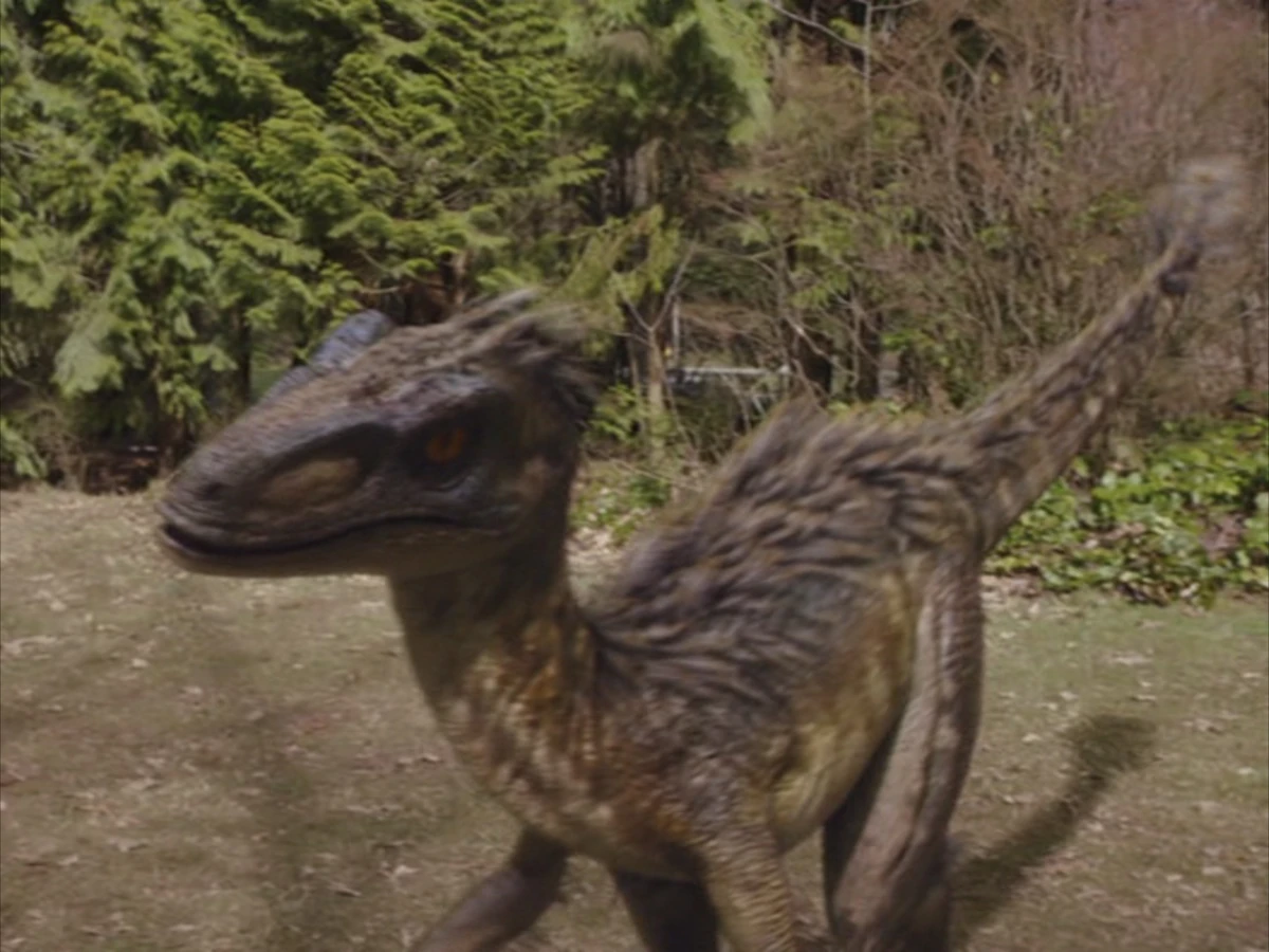 Utahraptor | Wiki Nick Cutter et les Portes du Temps | Fandom