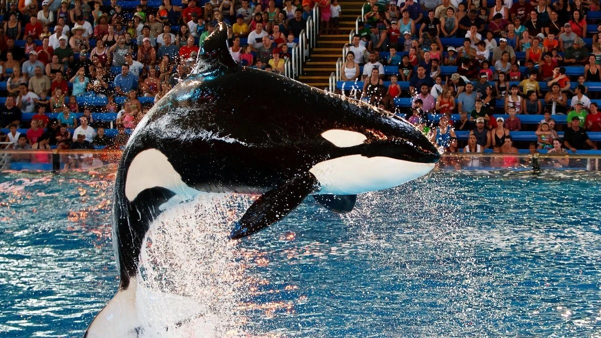 Sea World of Oklahoma | Nickelodeon Movies Fanon Wiki | Fandom