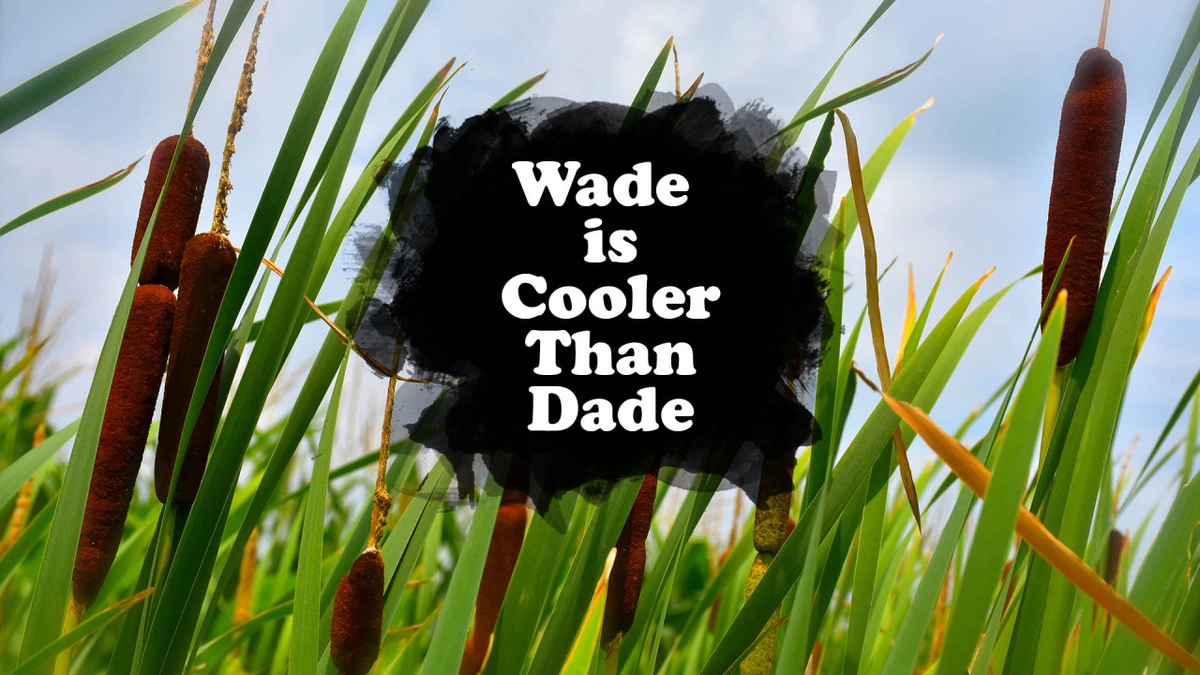 Wade ist cooler als Dade (Episode) | Nickelodeon Wiki | Fandom