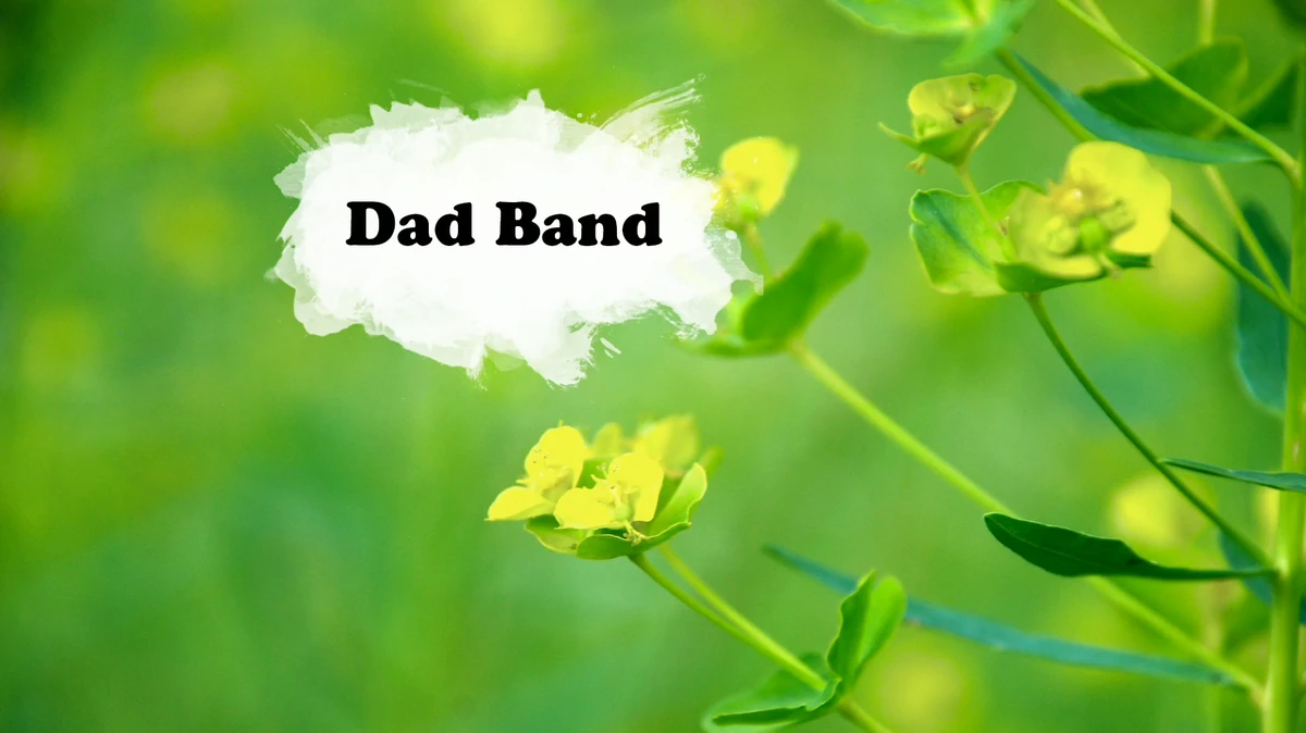 Dads Band (Episode) | Nickelodeon Wiki | Fandom