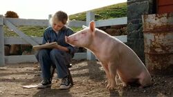 Charlotte's Web | Nickelodeon | Fandom