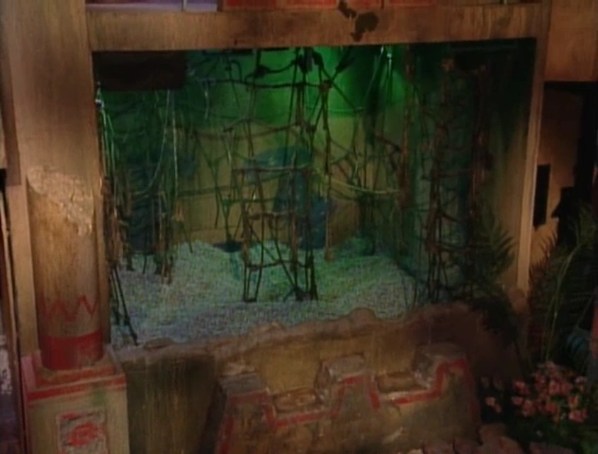 The Swamp | Nickelodeon | Fandom