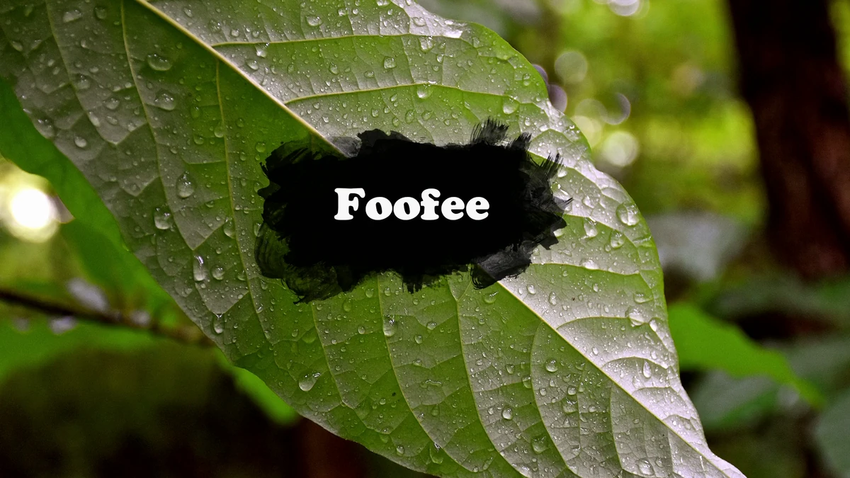 Foofee (Episode) | Nickelodeon Wiki | Fandom