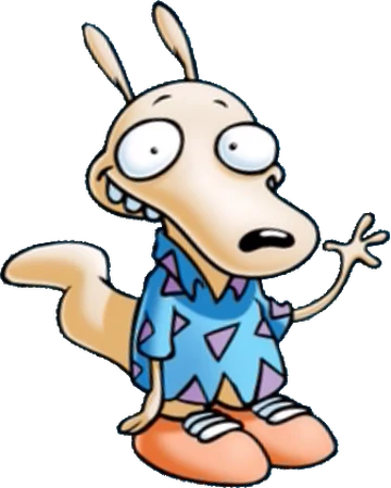 Rocko Costume
