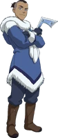 Sokka | Nickelodeon | Fandom