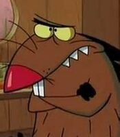 Daggett Beaver | Nickelodeon | Fandom