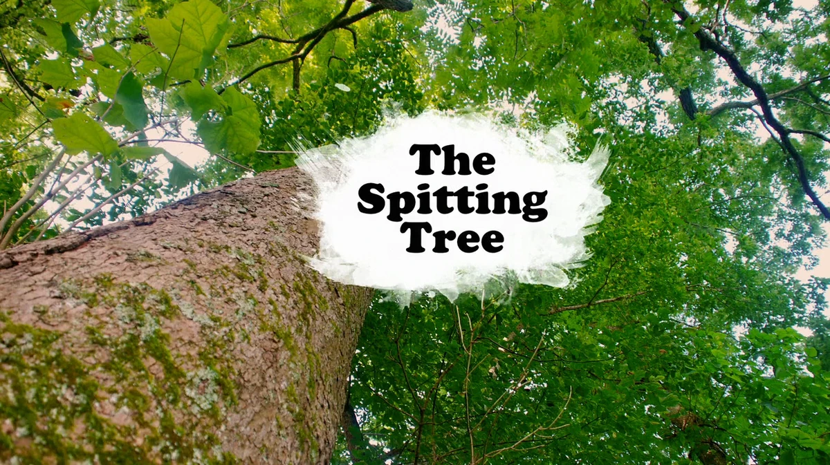 The Spitting Tree | Nickelodeon | Fandom