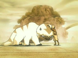 Appa | Nickelodeon Wiki | Fandom