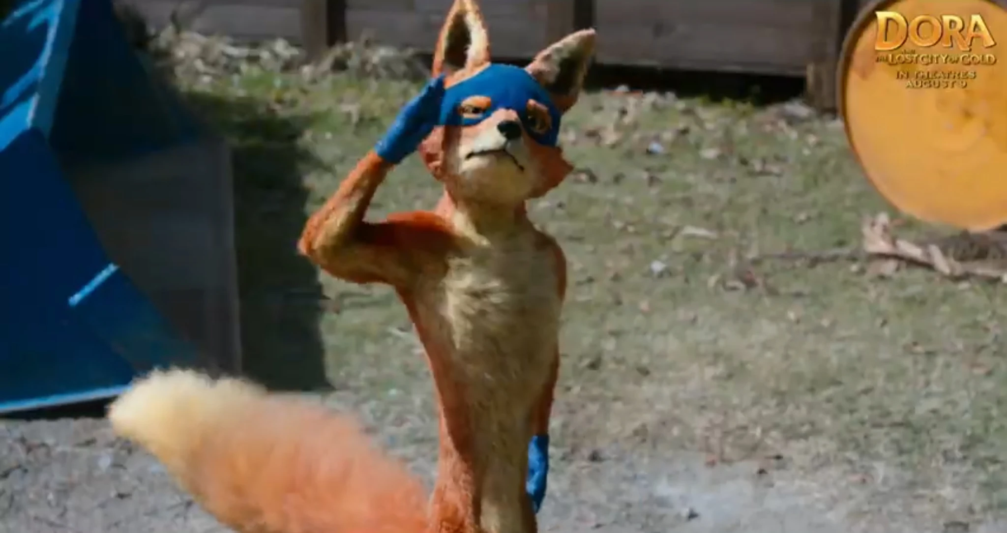 Swiper From Dora Costume