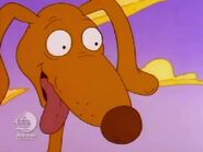 Spike | Nickelodeon | Fandom