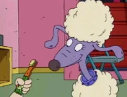 Fifi (Rugrats) | Nickelodeon | Fandom