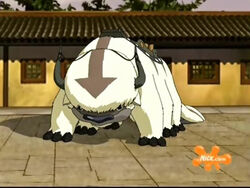 Appa | Nickelodeon Wiki | Fandom