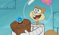 Sandy Cheeks | Nickelodeon | Fandom