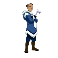 Sokka | Nickelodeon | Fandom