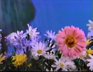 Nick Jr. Sings | Nickelodeon | Fandom