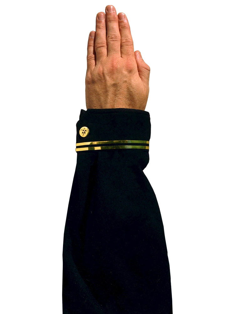 Spongebob Hebt Die Hand