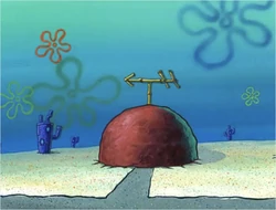 Patrick Star | Nickelodeon Fanon Wiki | Fandom