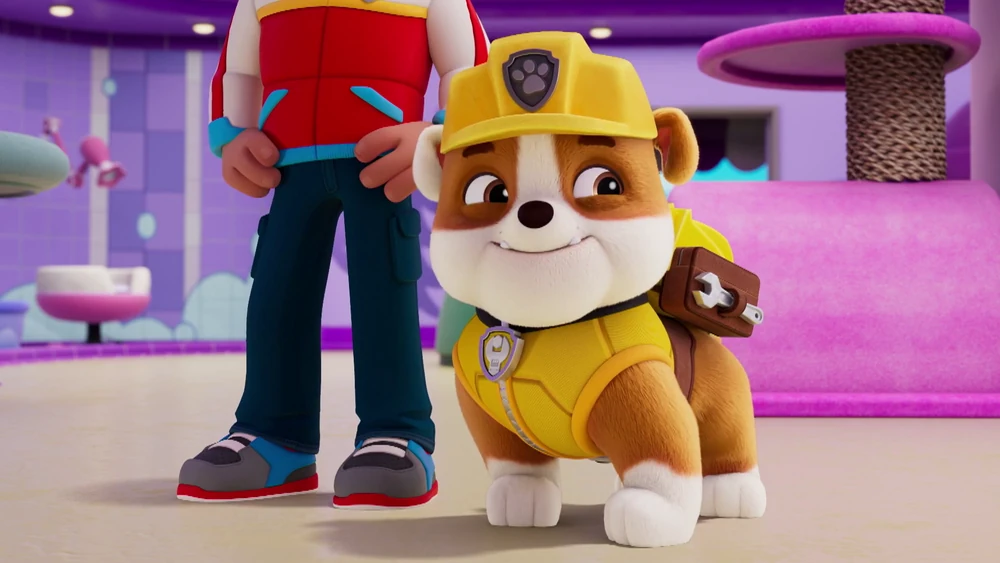 Pups Save a Pet Show | Nick Jr. Wiki | Fandom