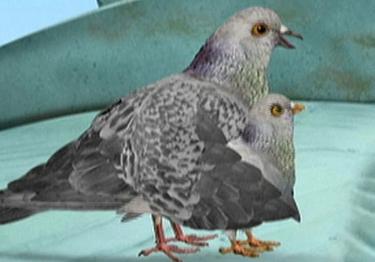 Mr. pigeon | Nick Jr. Wiki | Fandom