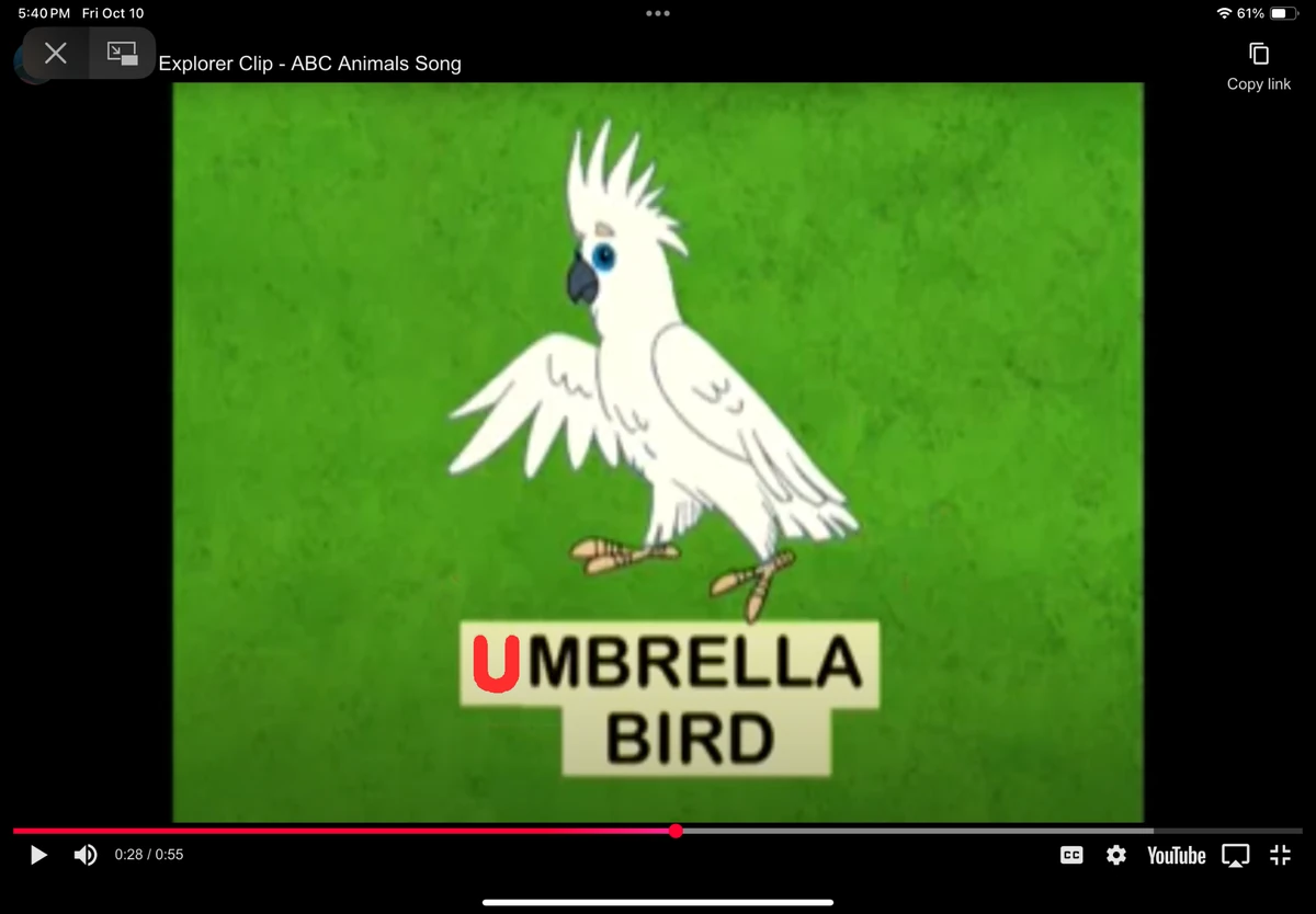 Umbrella Bird | Nick Jr. Wiki | Fandom