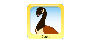 Goose (Franklin) | Nick Jr. Wiki | Fandom