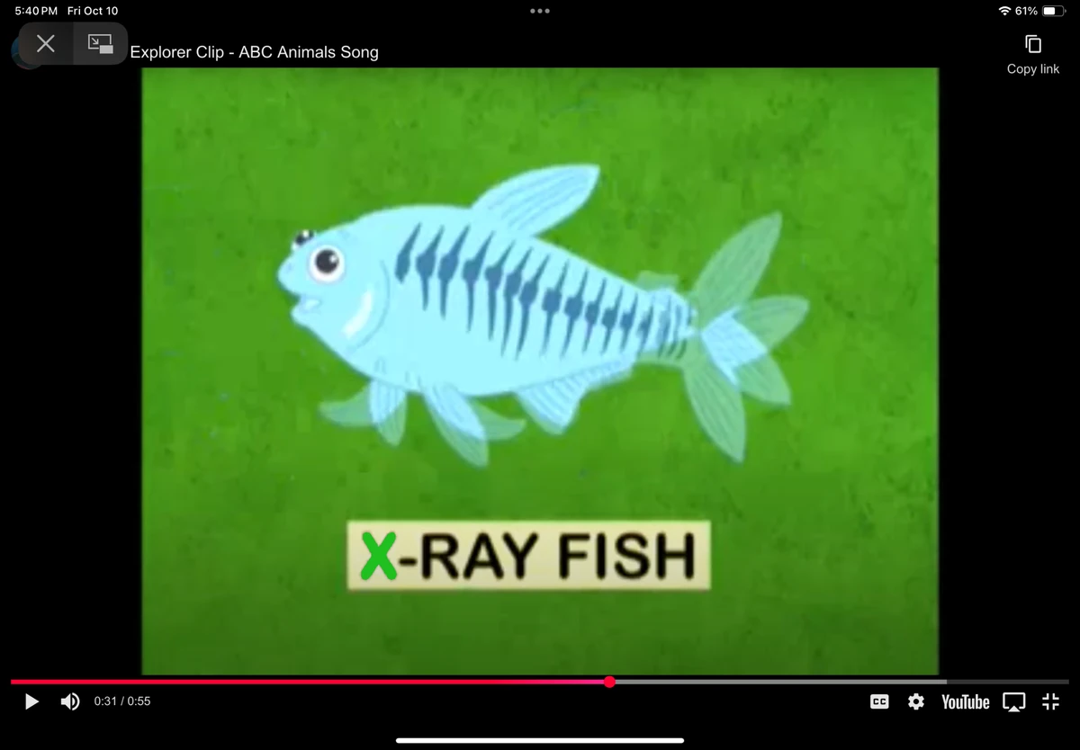 X-Ray Fish | Nick Jr. Wiki | Fandom