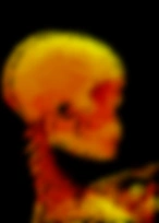 Butch Hartman | Nickelodeontv Wiki | Fandom