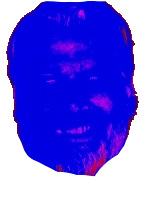 Joe Murray | Nickelodeontv Wiki | Fandom