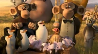 Cabo/Galería | Pingüinos de Madagascar Wiki | Fandom