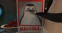 Cabo/Galería | Pingüinos de Madagascar Wiki | Fandom