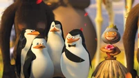 Cabo/Galería | Pingüinos de Madagascar Wiki | Fandom