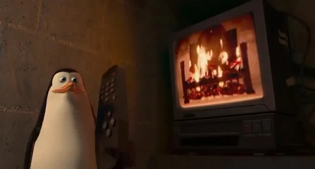 Kowalski/Galería | Pingüinos de Madagascar Wiki | Fandom
