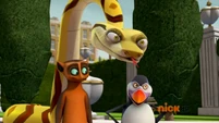 Savio | Pingüinos de Madagascar Wiki | Fandom