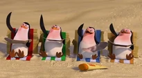 Cabo/Galería | Pingüinos de Madagascar Wiki | Fandom