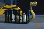 Savio | Pingüinos de Madagascar Wiki | Fandom