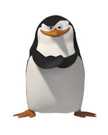 Skipper | Pingüinos de Madagascar Wiki | Fandom