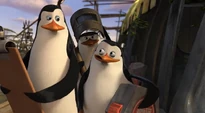 Cabo/Galería | Pingüinos de Madagascar Wiki | Fandom