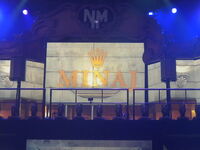 Pink Friday: Reloaded Tour | Nicki Minaj Wiki | Fandom