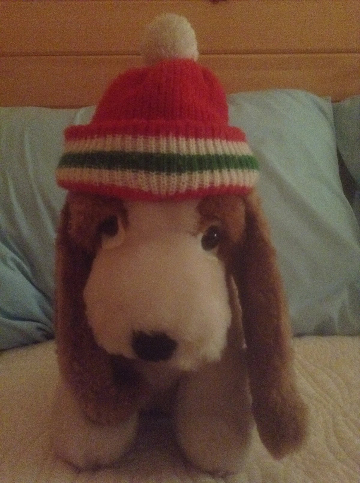 Stocking Head | NickJr.Fanon Wiki | Fandom