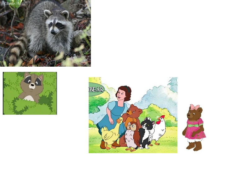 Big big bear (raccoon) | NickJr.Fanon Wiki | Fandom