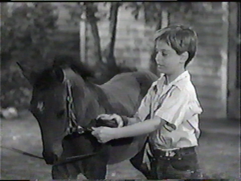 October 2, 1991 | Nickstory Wiki | Fandom