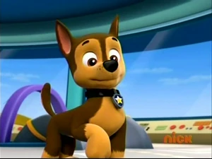 PAW Patrol/Pup Pup Boogie / Pups in a Fog | Nickstory Wiki | Fandom